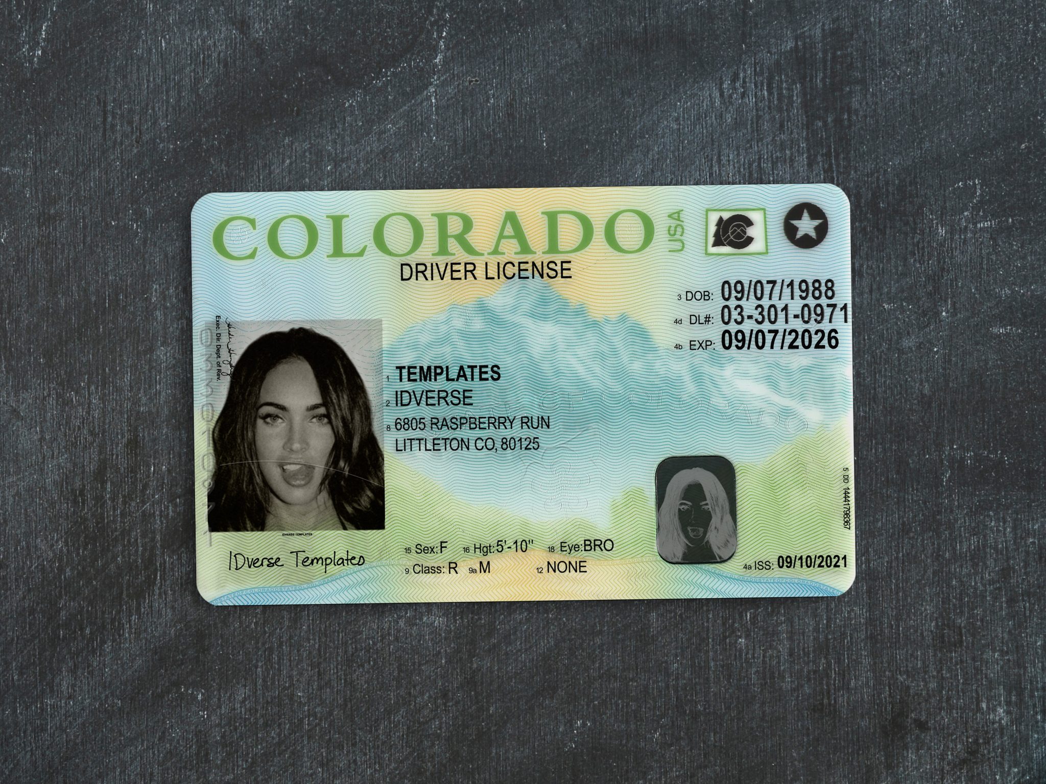 Colorado DL – IDVERSE